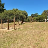 Majik Forest Walking Trail, Western Cape, South Africa - 189 Reviews ...