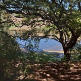Majik Forest Walking Trail, Western Cape, South Africa - 189 Reviews ...