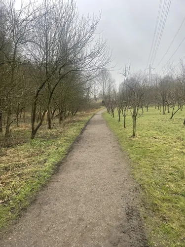 Best Hikes and Trails in Mersey Vale Nature Park | AllTrails