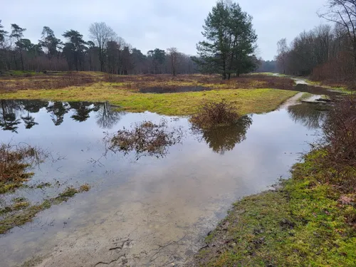 Best Walking Trails in Dorst Forest | AllTrails