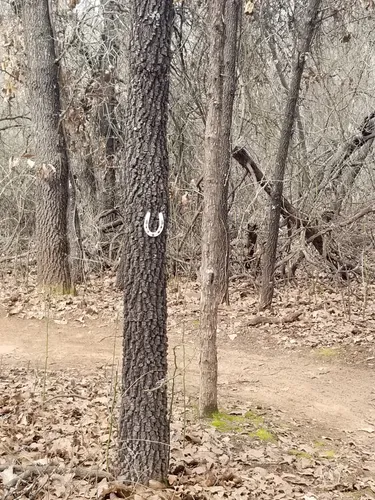 Best Hikes and Trails in Lake Stanley Draper Mountain Bike Park | AllTrails