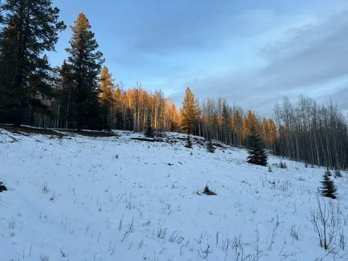 Best Hikes and Trails in Edson | AllTrails