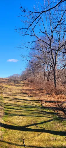Best Hikes and Trails in Natural Lands' Peacedale Preserve | AllTrails