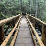 Upper Big Creek Loop, Washington - 2,579 Reviews, Map | AllTrails