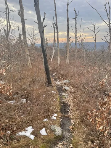 Best Hikes and Trails in Shawangunk Ridge State Forest | AllTrails