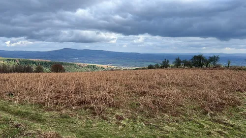 Best Hikes and Trails in Mortimer Forest | AllTrails