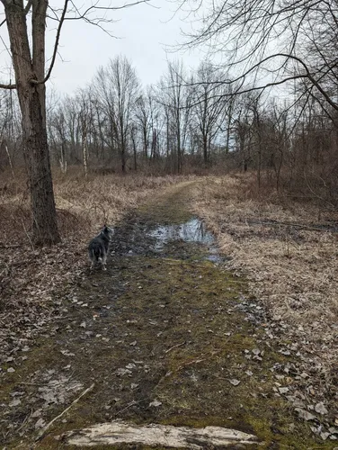 Best Hikes and Trails in Cranberry Lake Park | AllTrails