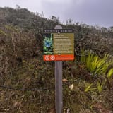 Slacker Hill via Morning Sun, Alta, SCA and Slacker Ridge, California ...