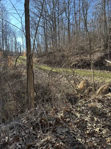 Best Hikes and Trails in Wind Ridge | AllTrails