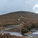 Crone Wood and Maulin Mountain Loop, County Wicklow, Ireland - 1,376 ...