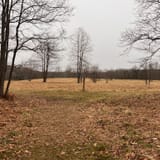 Rachel Carson Greenway Trail, Maryland - 1,077 Reviews, Map | AllTrails
