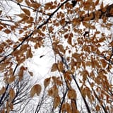 Rachel Carson Greenway Trail, Maryland - 1,077 Reviews, Map | AllTrails
