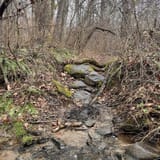 Rachel Carson Greenway Trail, Maryland - 1,077 Reviews, Map | AllTrails
