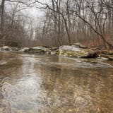 Rachel Carson Greenway Trail, Maryland - 1,077 Reviews, Map | AllTrails