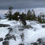 Mount Hunger via Waterbury Trail, Vermont - 1,437 Reviews, Map | AllTrails