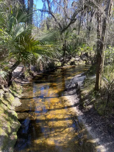 Best Hikes and Trails in Fish Hawk Nature Preserve North | AllTrails