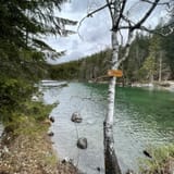 Eibsee Loop, Bavaria, Germany - 917 Reviews, Map | AllTrails