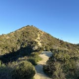 Runyon Canyon Trail, California - 7,731 Reviews, Map | AllTrails