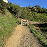 Runyon Canyon Trail, California - 7,731 Reviews, Map | AllTrails