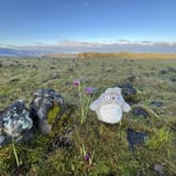 Upper Table Rock Trail, Oregon - 1,694 Reviews, Map | AllTrails