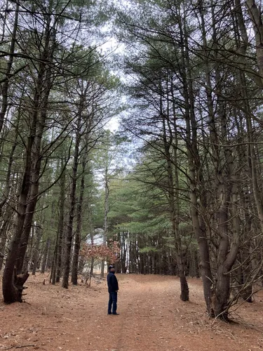 Best Hikes and Trails in Calverton Ponds Preserve | AllTrails