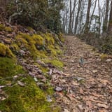 Appalachian Trail, Hosack Run, and Locust Gap Loop, Pennsylvania - 452 ...
