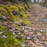 Appalachian Trail, Hosack Run, and Locust Gap Loop, Pennsylvania - 452 ...