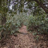 Appalachian Trail, Hosack Run, and Locust Gap Loop, Pennsylvania - 452 ...