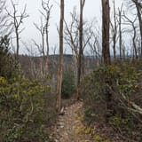 Appalachian Trail, Hosack Run, and Locust Gap Loop, Pennsylvania - 452 ...