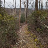 Appalachian Trail, Hosack Run, and Locust Gap Loop, Pennsylvania - 452 ...