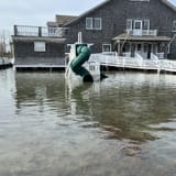 Parson's Way, Maine - 348 Reviews, Map | AllTrails