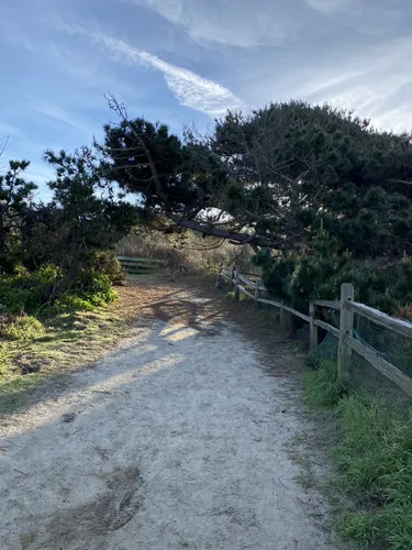 Best Hikes and Trails in Moss Beach | AllTrails