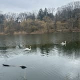 High Park Loop, Ontario, Canada - 1,153 Reviews, Map | AllTrails