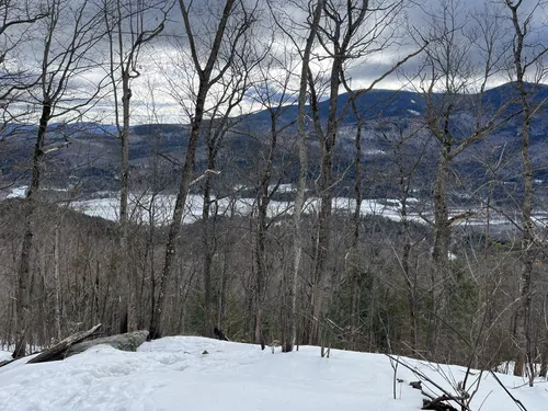 Best Hikes and Trails in Lead Mine State Forest | AllTrails