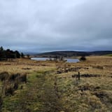 Nicky Nook, Lancashire, England - 75 Reviews, Map | AllTrails