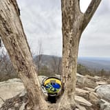 Mount Tammany via Red Dot and Blue Dot Loop Trail, New Jersey - 12,810 ...