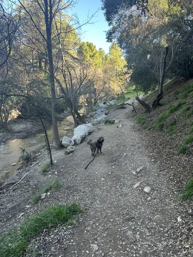 Best Hikes and Trails in Porter Ranch | AllTrails