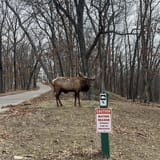 White Bison Loop, Missouri - 2,268 Reviews, Map | AllTrails
