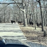 White Bison Loop, Missouri - 2,268 Reviews, Map | AllTrails