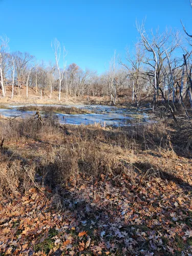 Best Wheelchair Friendly Trails in Snail Lakes Regional Park | AllTrails