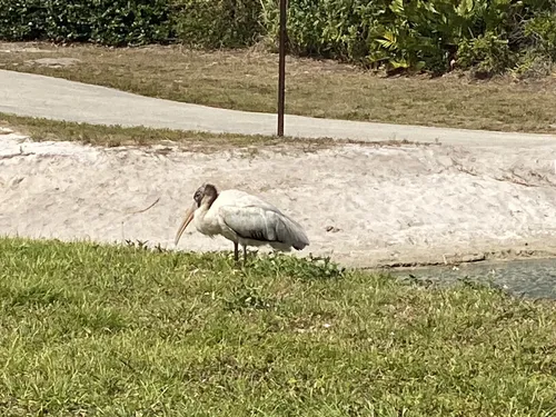 Best Bird Watching Trails in Boca Raton | AllTrails