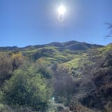 Two Trees Trail, California - 1,327 Reviews, Map | AllTrails
