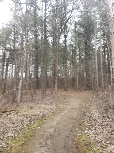 Best Hikes and Trails in Marengo Ridge Conservation Area | AllTrails