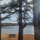 Massasoit Trails, Massachusetts - 1,173 Reviews, Map | AllTrails