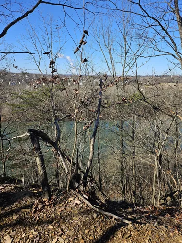 Best Hikes and Trails in Lock 60 Schuylkill Canal Park | AllTrails