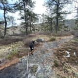 Millbrook Ridge Trail, New York - 274 Reviews, Map | AllTrails