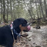 Millbrook Ridge Trail, New York - 274 Reviews, Map | AllTrails