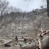 Millbrook Ridge Trail, New York - 274 Reviews, Map | AllTrails