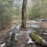 Millbrook Ridge Trail, New York - 274 Reviews, Map | AllTrails