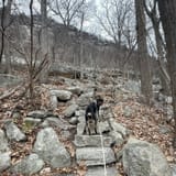 Millbrook Ridge Trail, New York - 274 Reviews, Map | AllTrails